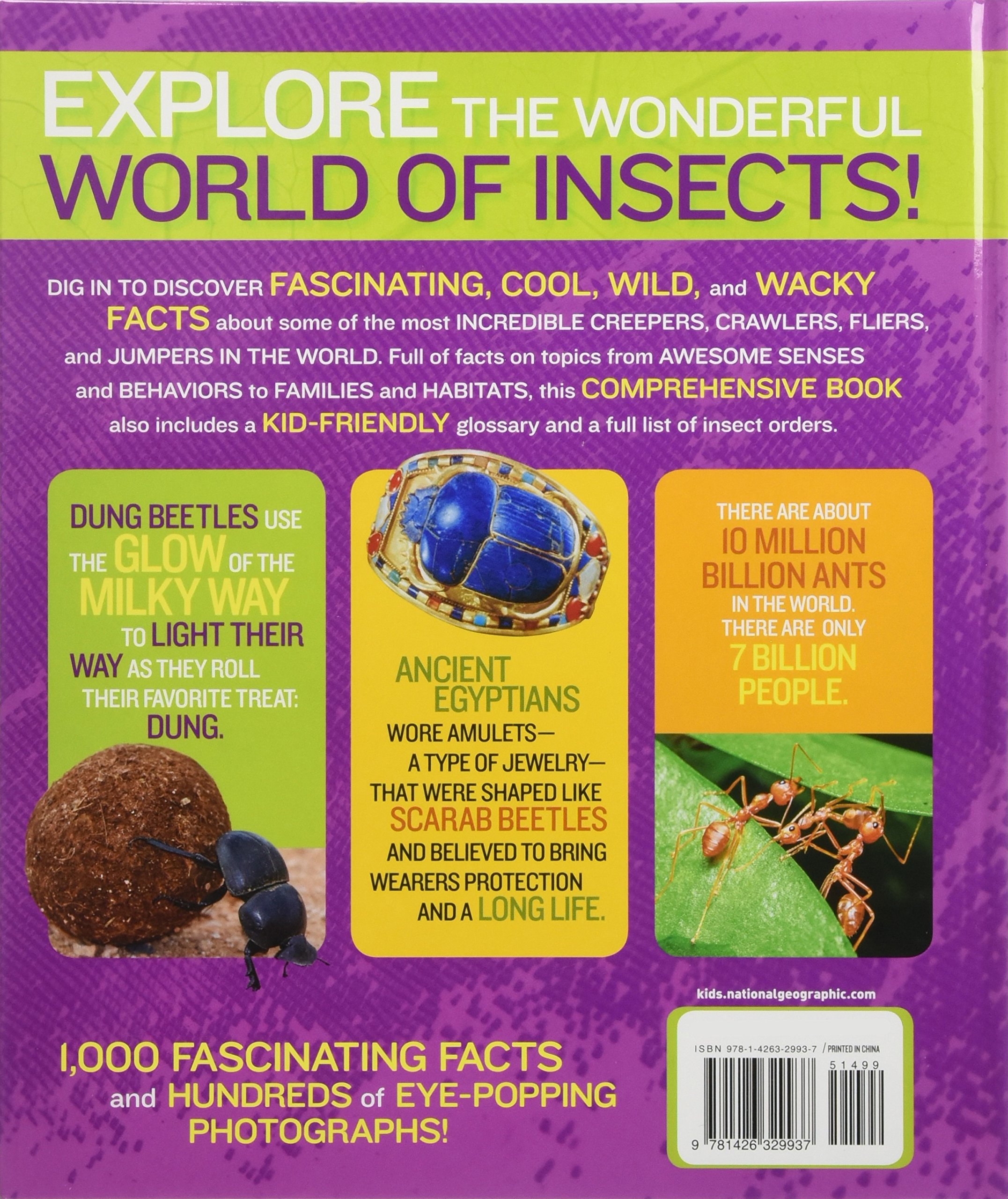 1000 Facts About Insects (100 Facts About…) - FAHASA.COM