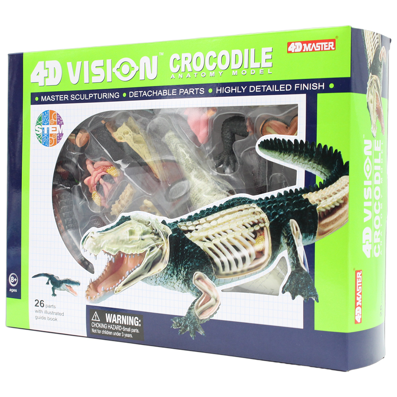 Đồ Chơi Giáo Dục STEAM - Mô Hình Giải Phẫu 4D - Cá Sấu - 4D Master 6220 - FAHASA.COM
