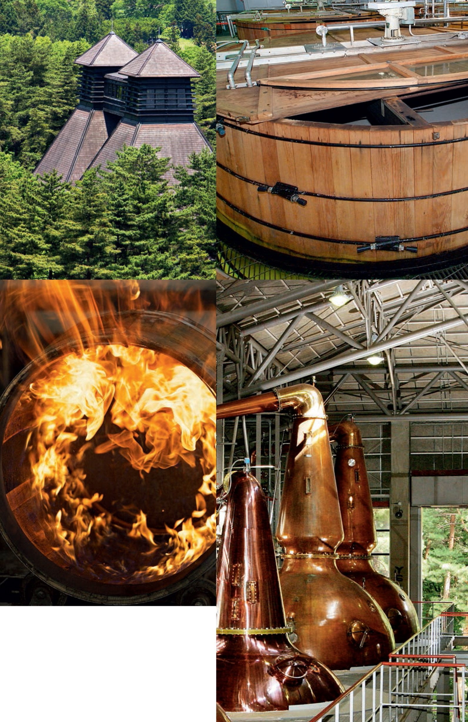 Drinking Japan : A Guide to Japan's Best Alcoholic Beverages and ...