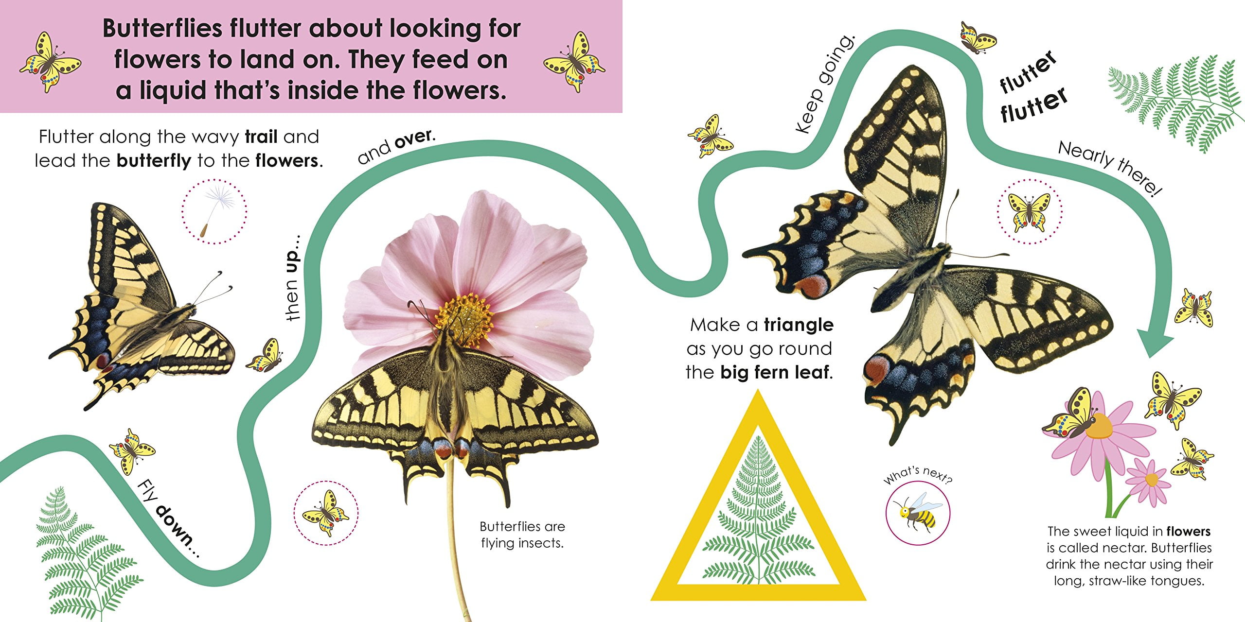 Follow the Trail Minibeasts: Take a peek! Fun finger trails! Board book ...