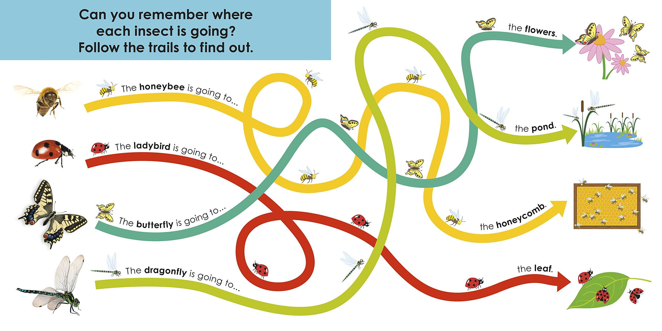 Follow the Trail Minibeasts: Take a peek! Fun finger trails! Board book ...