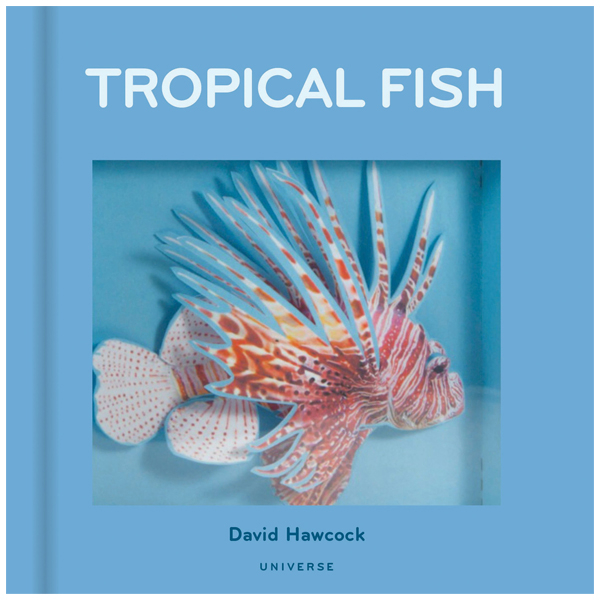 Tropical Fish: Pop-Up