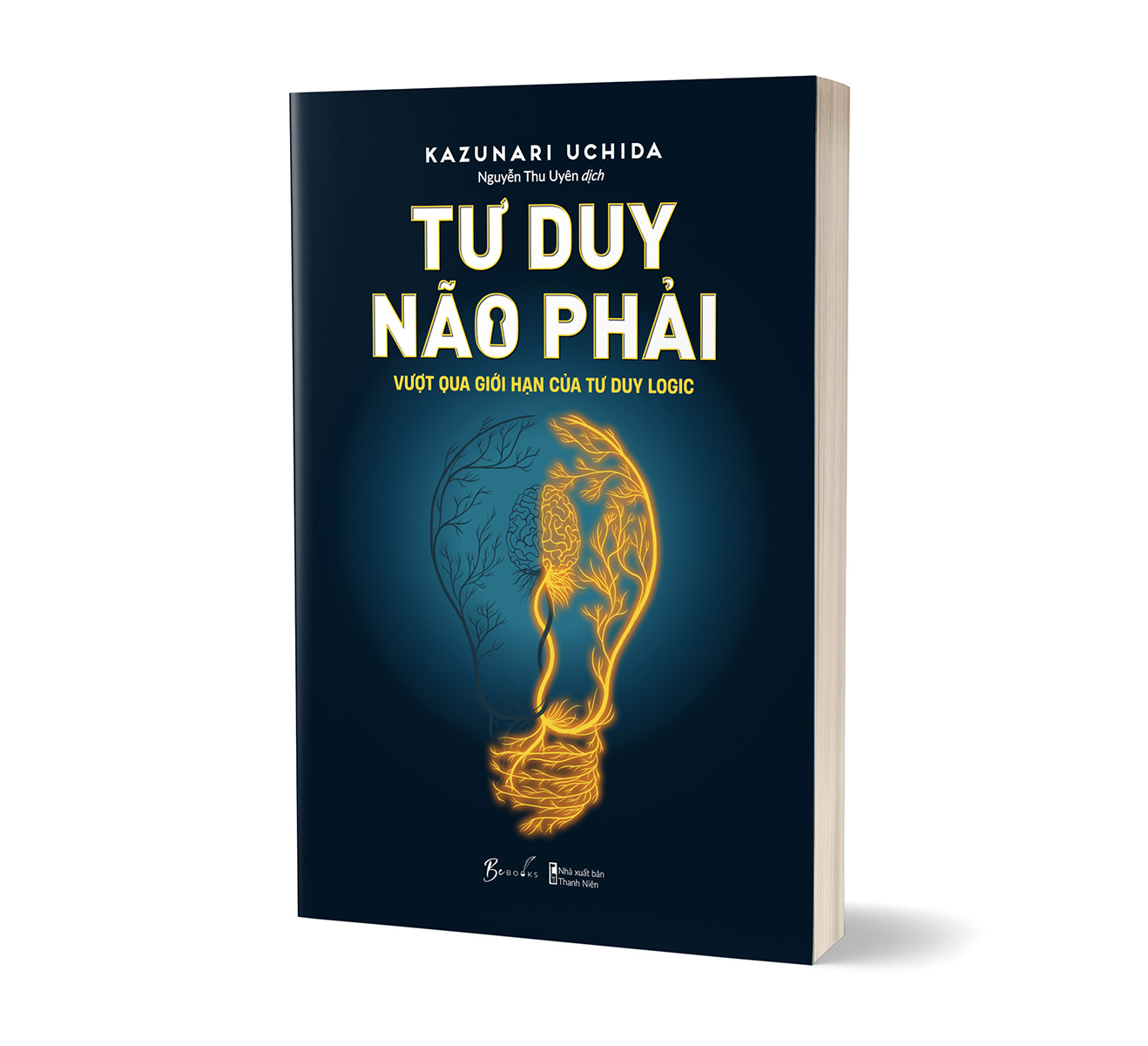 Tư Duy Não Phải - Vượt Qua Giới Hạn Của Tư Duy Logic PDF - YDS.EDU.VN