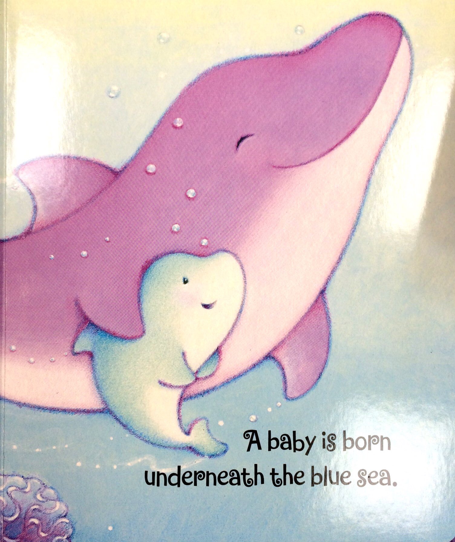 A Baby Is Born