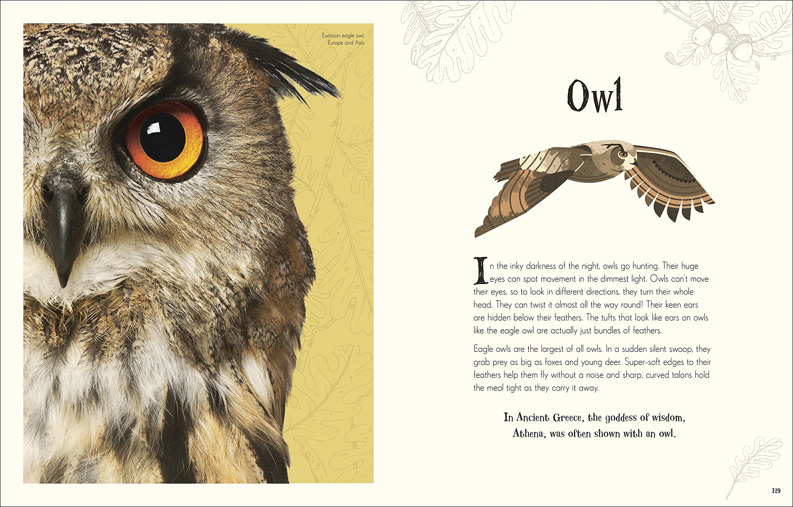 An Anthology Of Intriguing Animals - FAHASA.COM