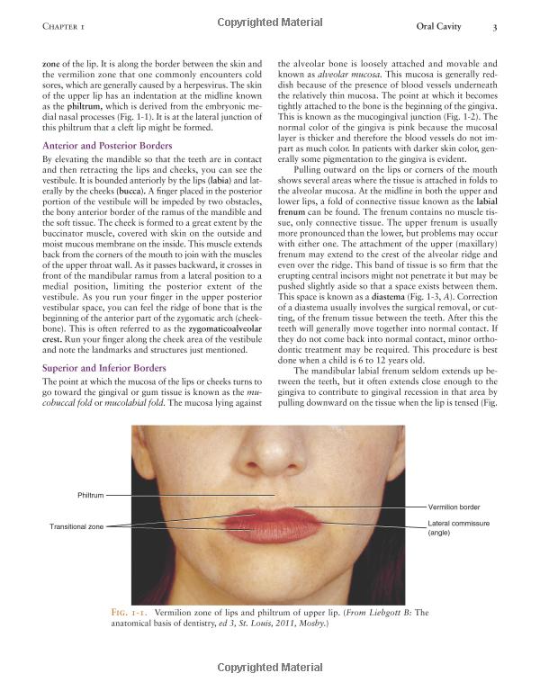Anatomy of Orofacial Structures: A Comprehensive Approach