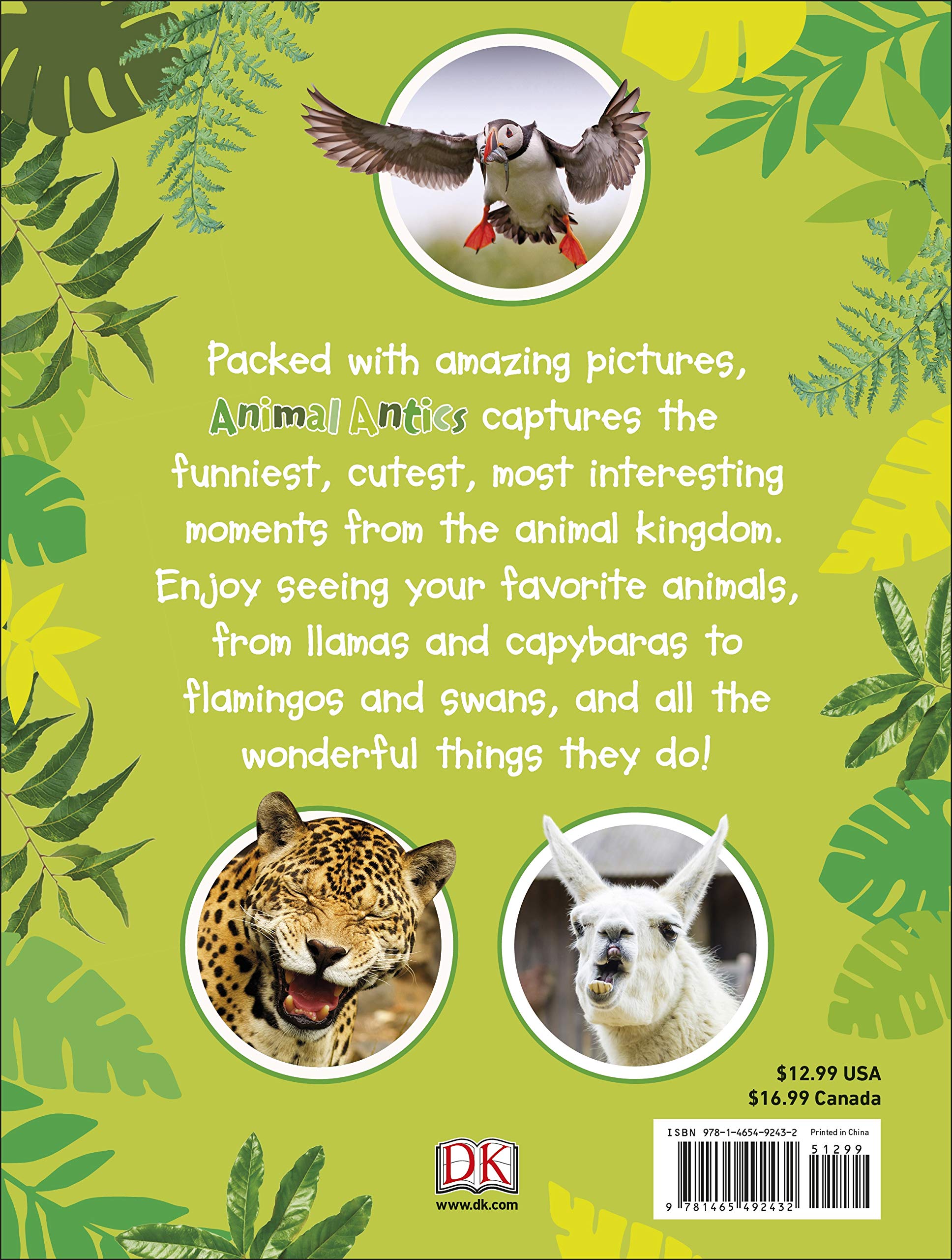 Animal Antics