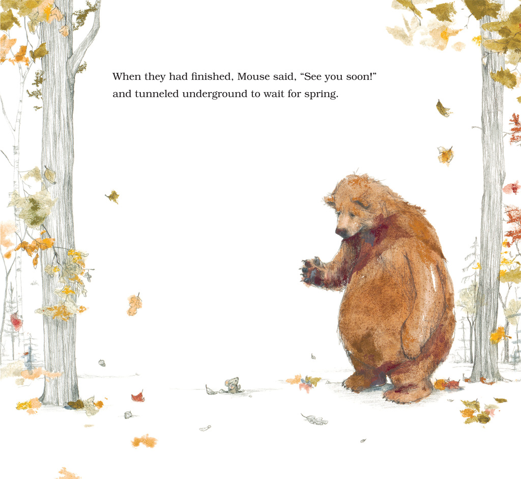 Bear Has A Story To Tell