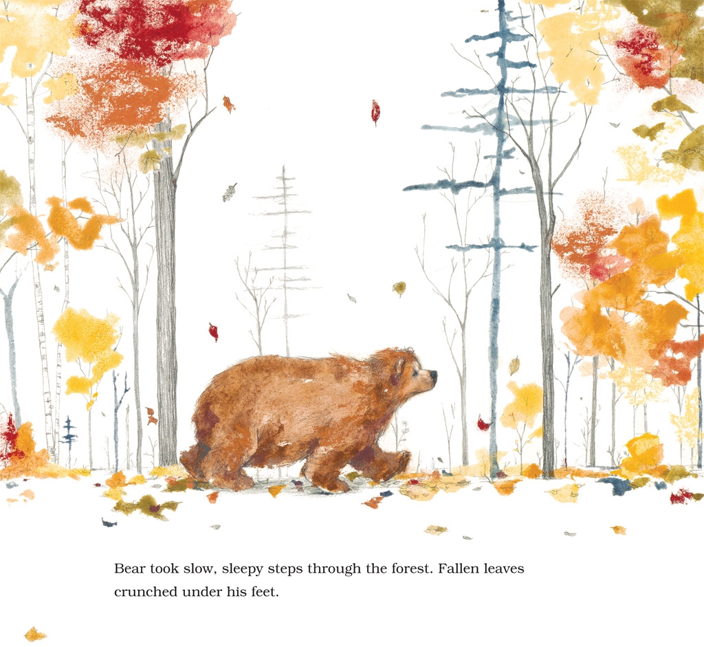 Bear Has A Story To Tell