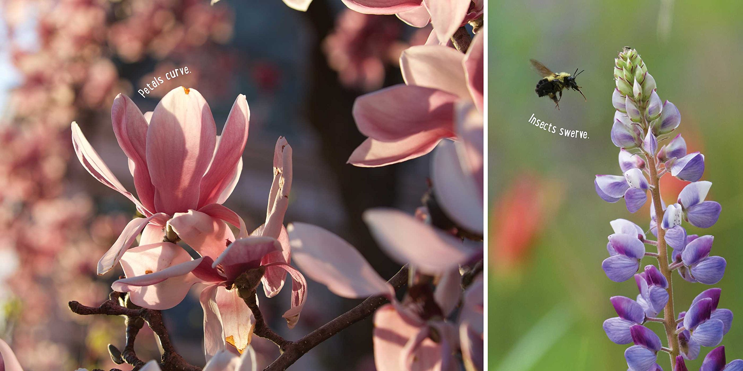 Bloom Boom! - FAHASA.COM