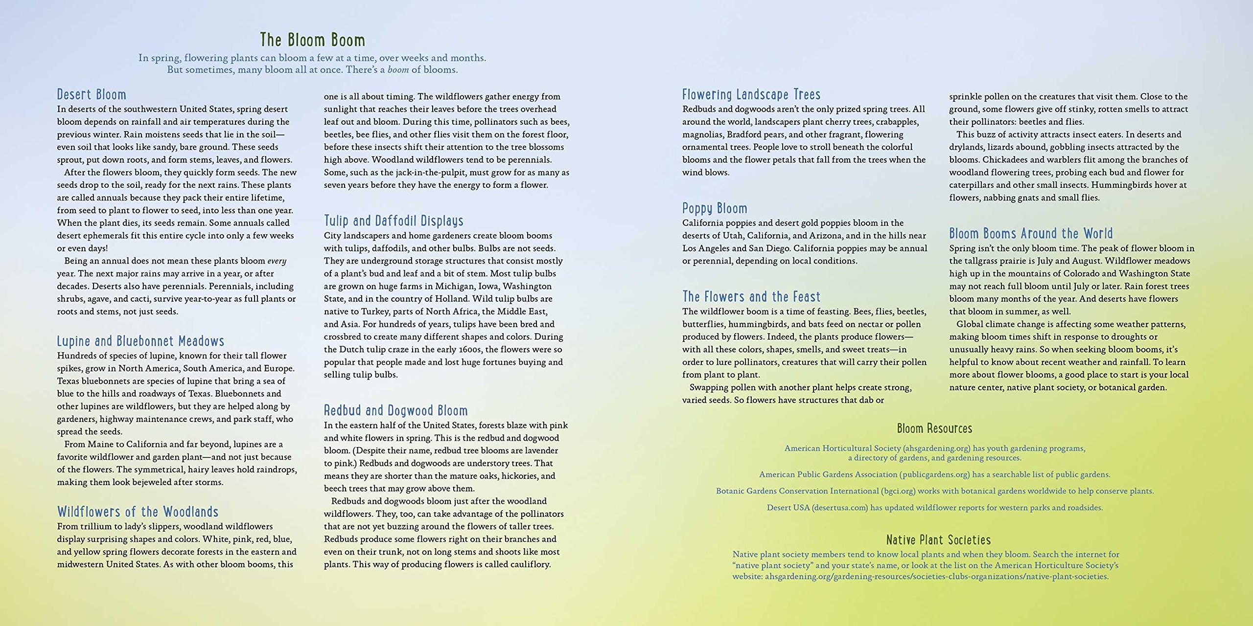 Bloom Boom! - FAHASA.COM