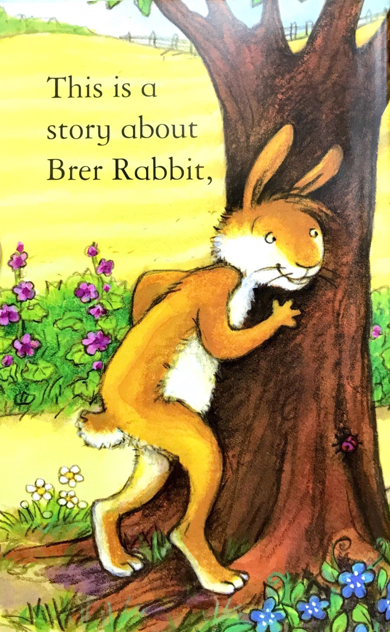 Brer Rabbit Down the Well