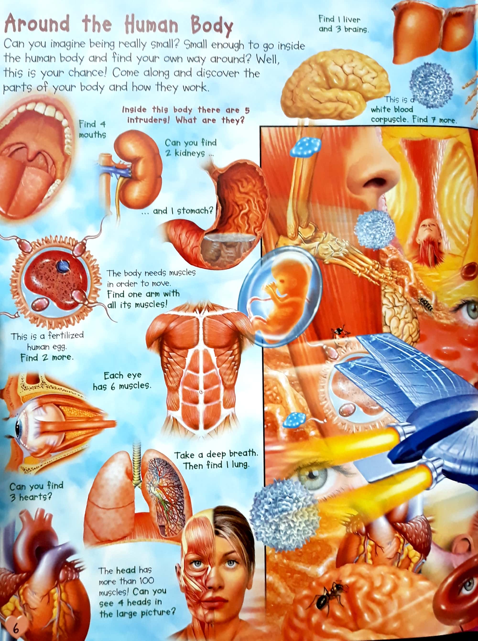 Brown Watson The Human Body (Hard Back Book)