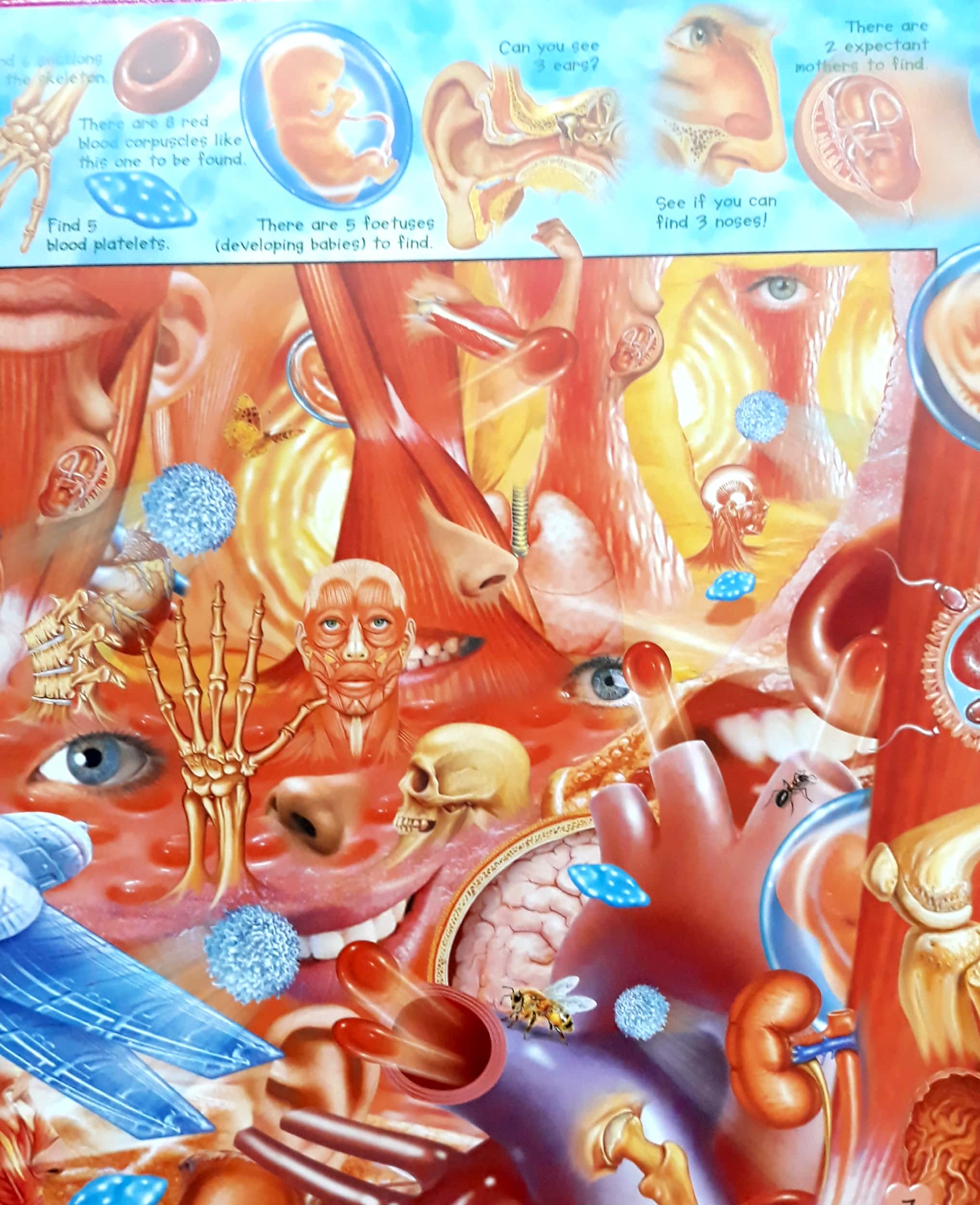 Brown Watson The Human Body (Hard Back Book)