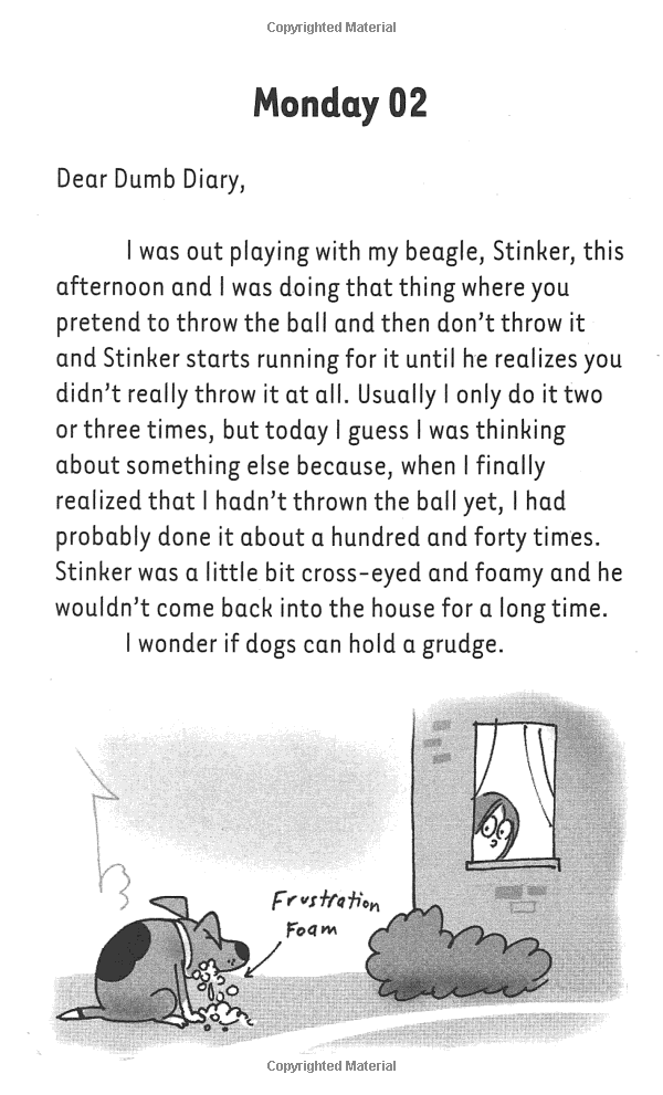 Dear Dumb Diary: Let's Pretend This Never Happened