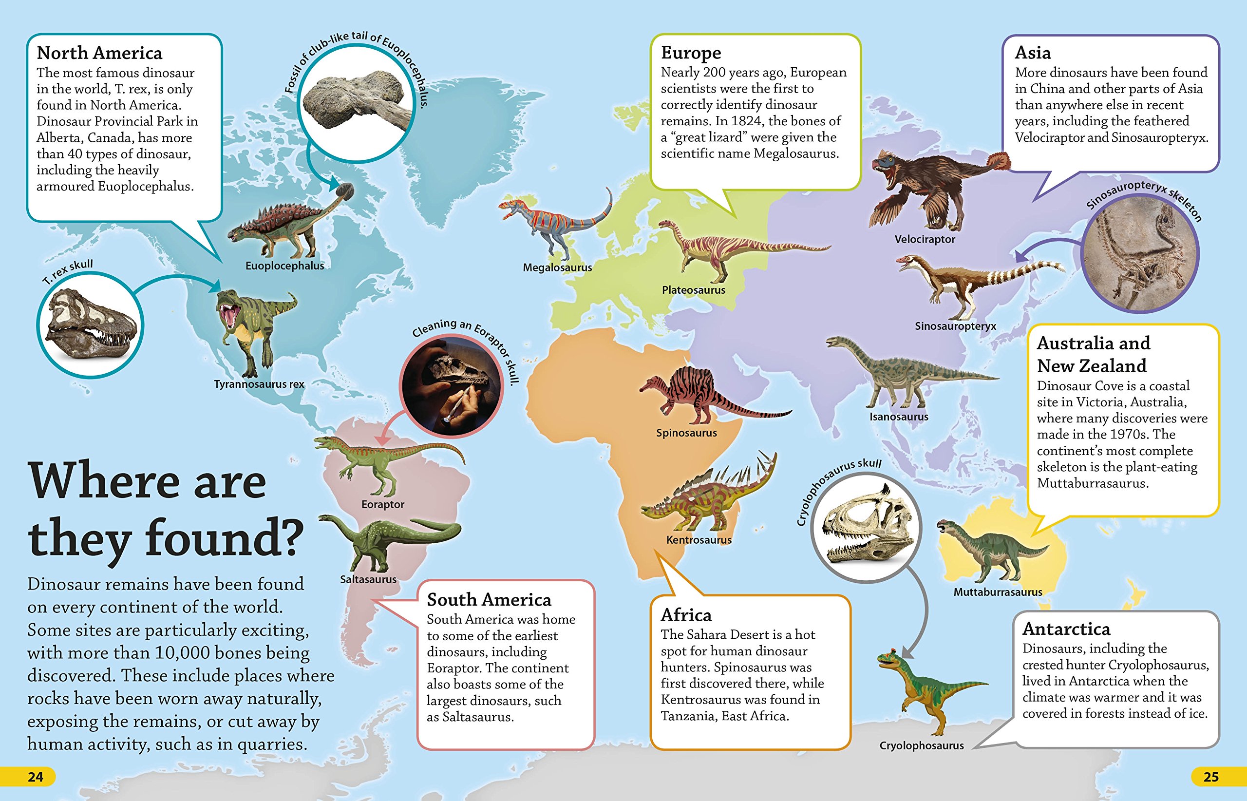 DKfindout! Dinosaurs - FAHASA.COM