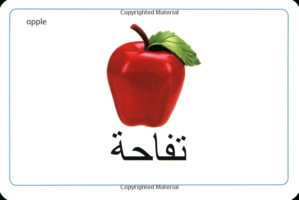 Everyday Words Flashcards: Arabic - FAHASA.COM