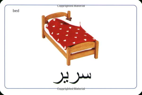 Everyday Words Flashcards: Arabic - FAHASA.COM
