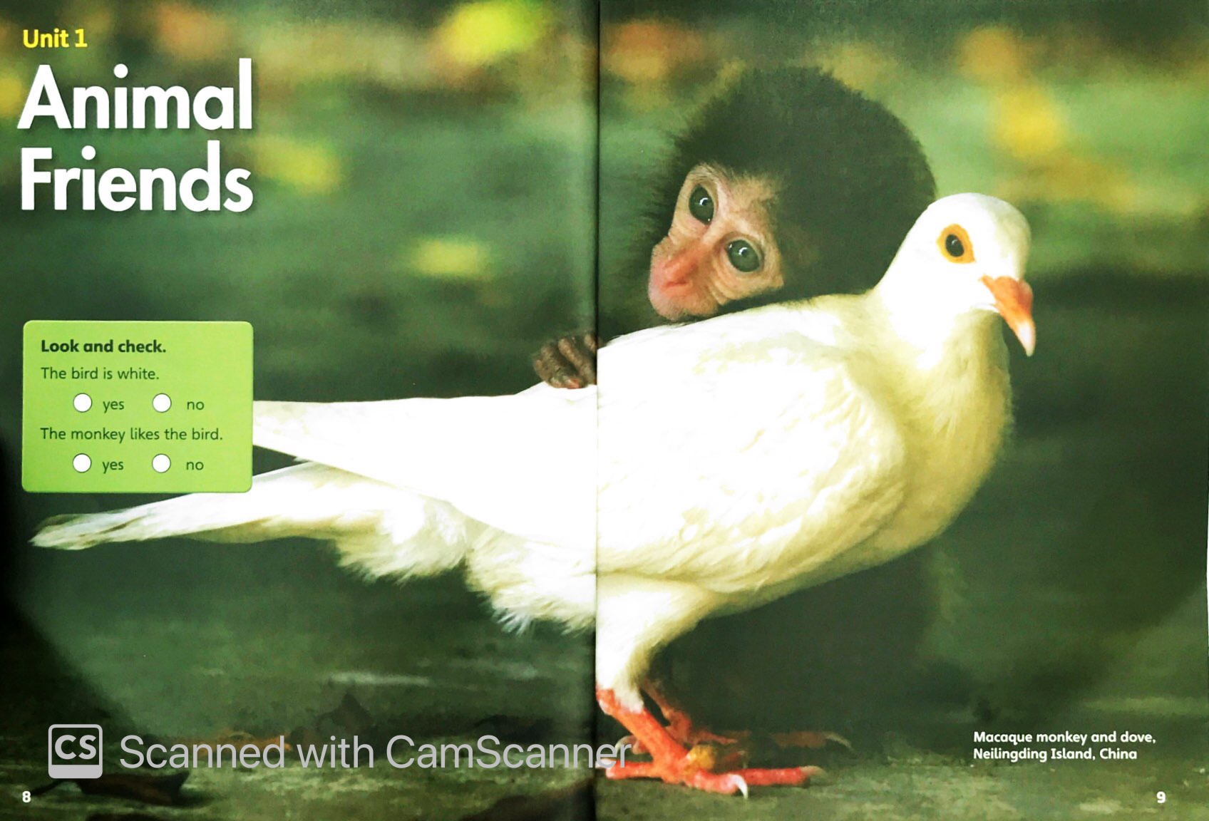 Explore Our World 2: Student Book : American English - FAHASA.COM