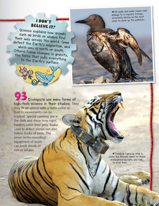 Science (100 Facts Pocket Edition)