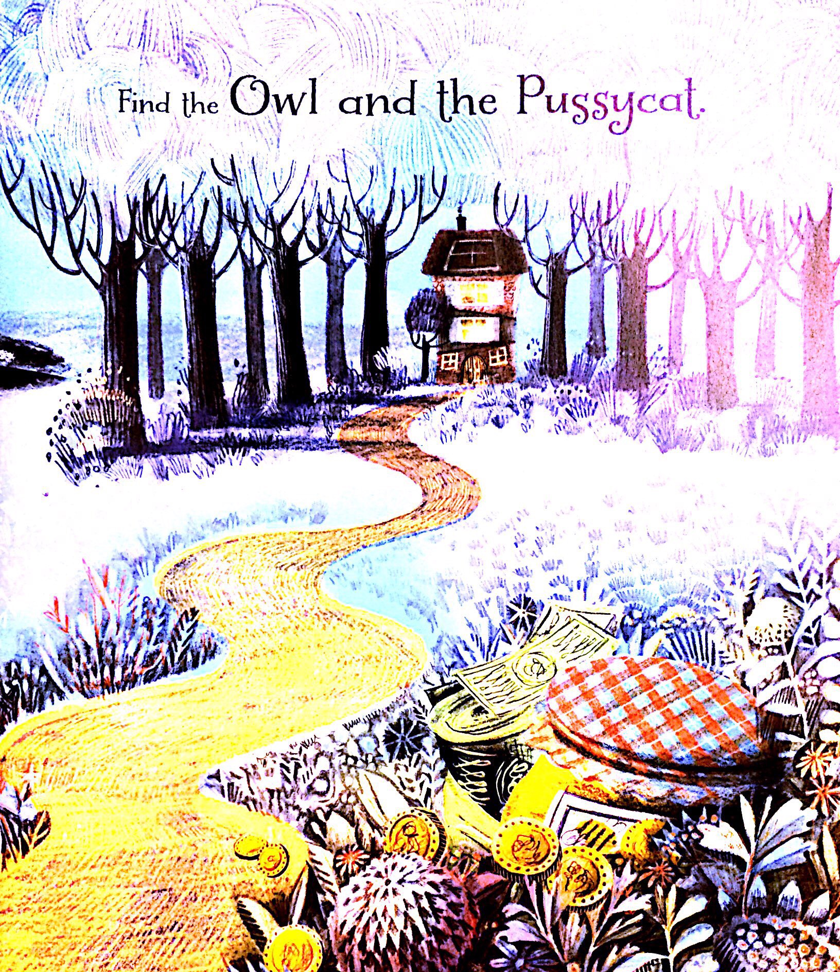 Find It Book Picturebook