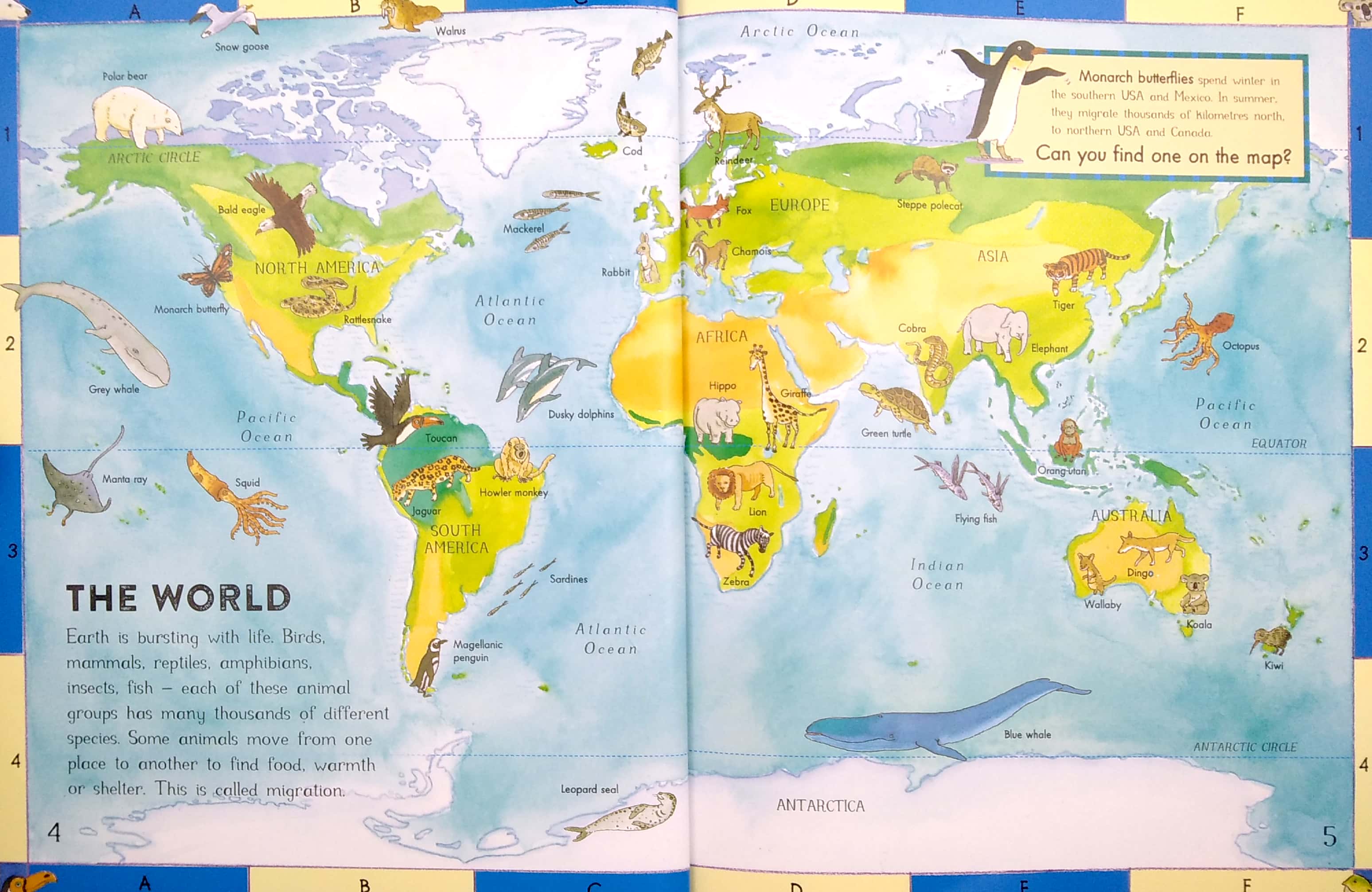 First Animal Picture Atlas: Meet 475 Awesome Animals From Around The ...