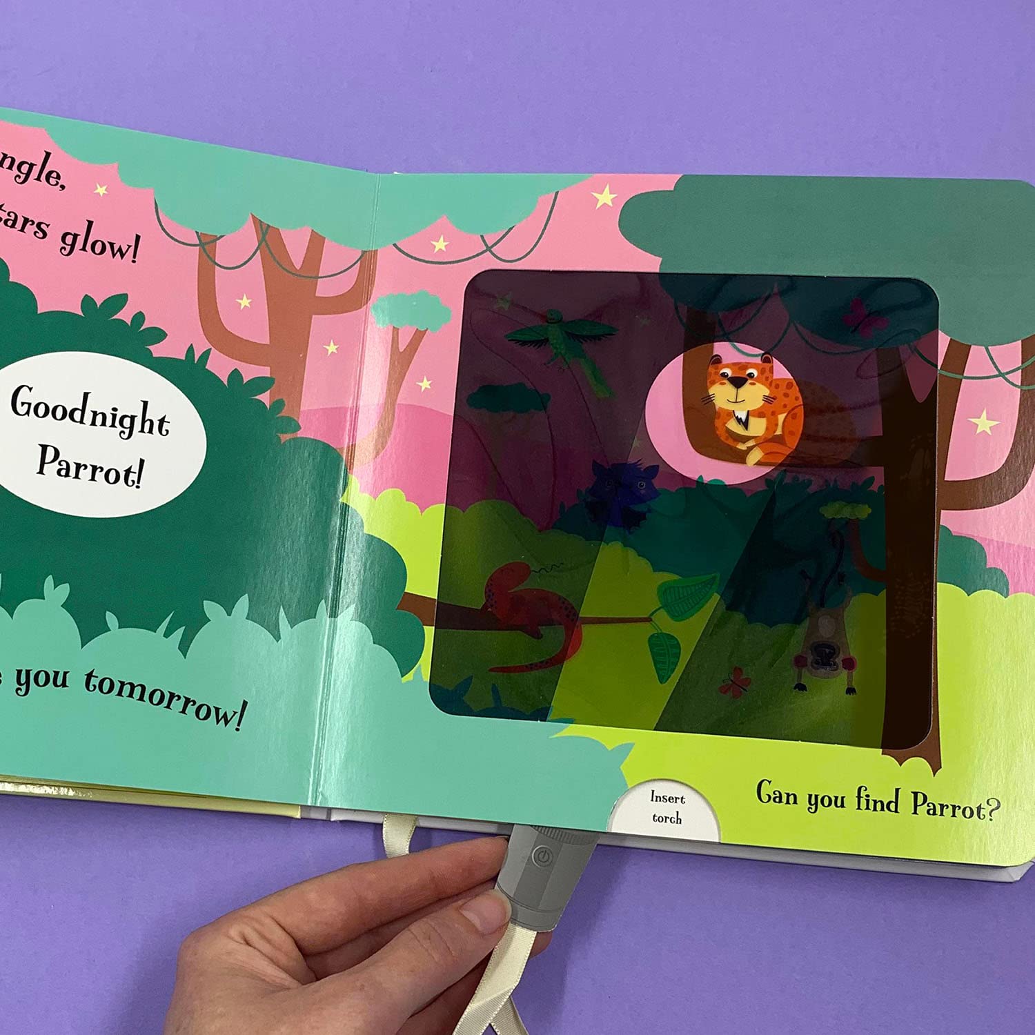 Goodnight Monkey (Magic Flashlight Books) - FAHASA.COM