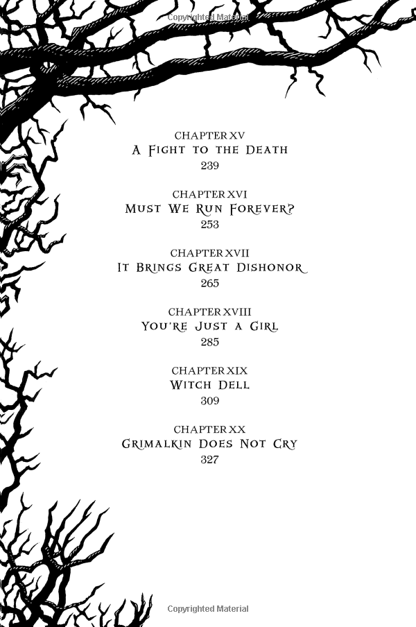 The Last Apprentice: Grimalkin The Witch Assassin (Book 9)