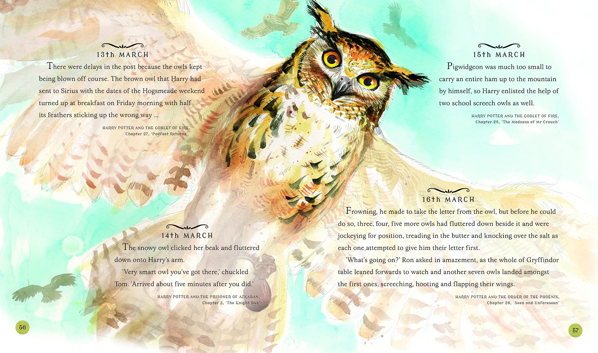 Harry Potter - A Magical Year: The Illustrations Of Jim Kay - FAHASA.COM