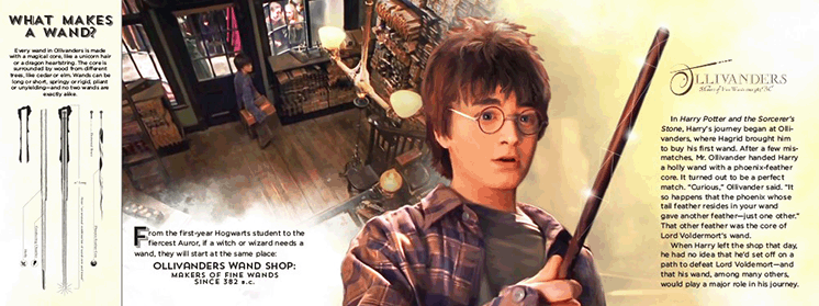 Harry Potter: The Wand Chooses The Wizard