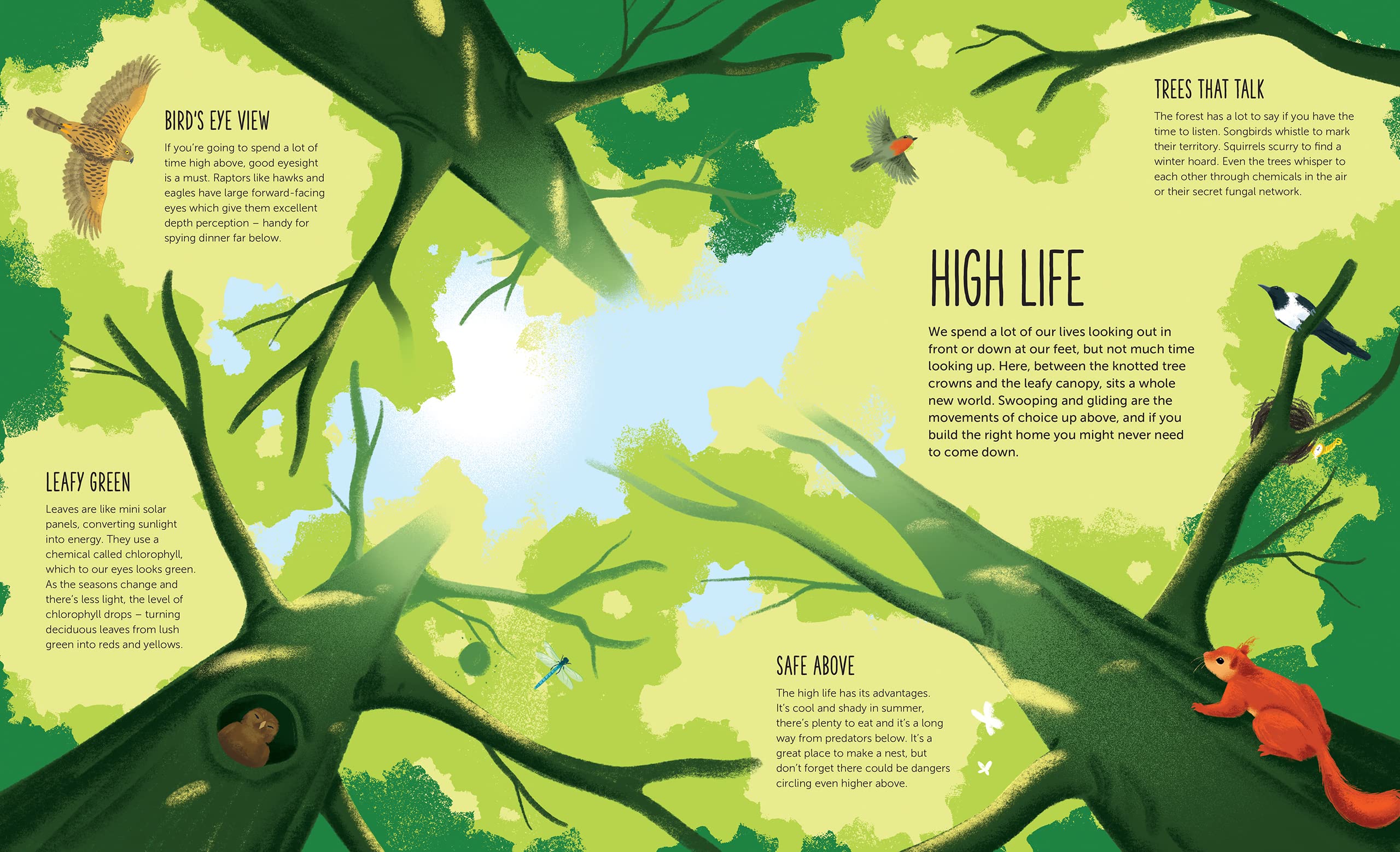 High: Soar To New Heights - FAHASA.COM