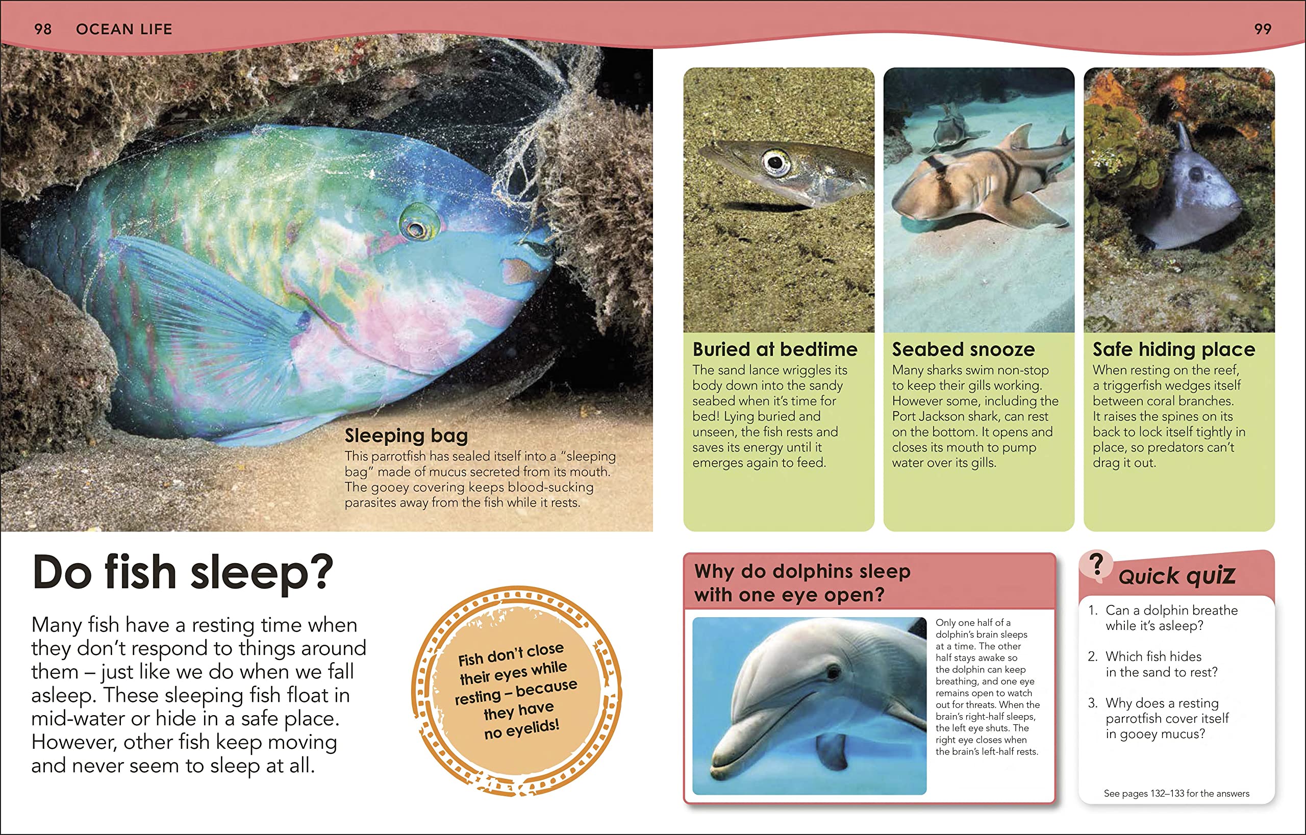 How Deep Is The Ocean? : With 200 Amazing Questions About The Ocean ...