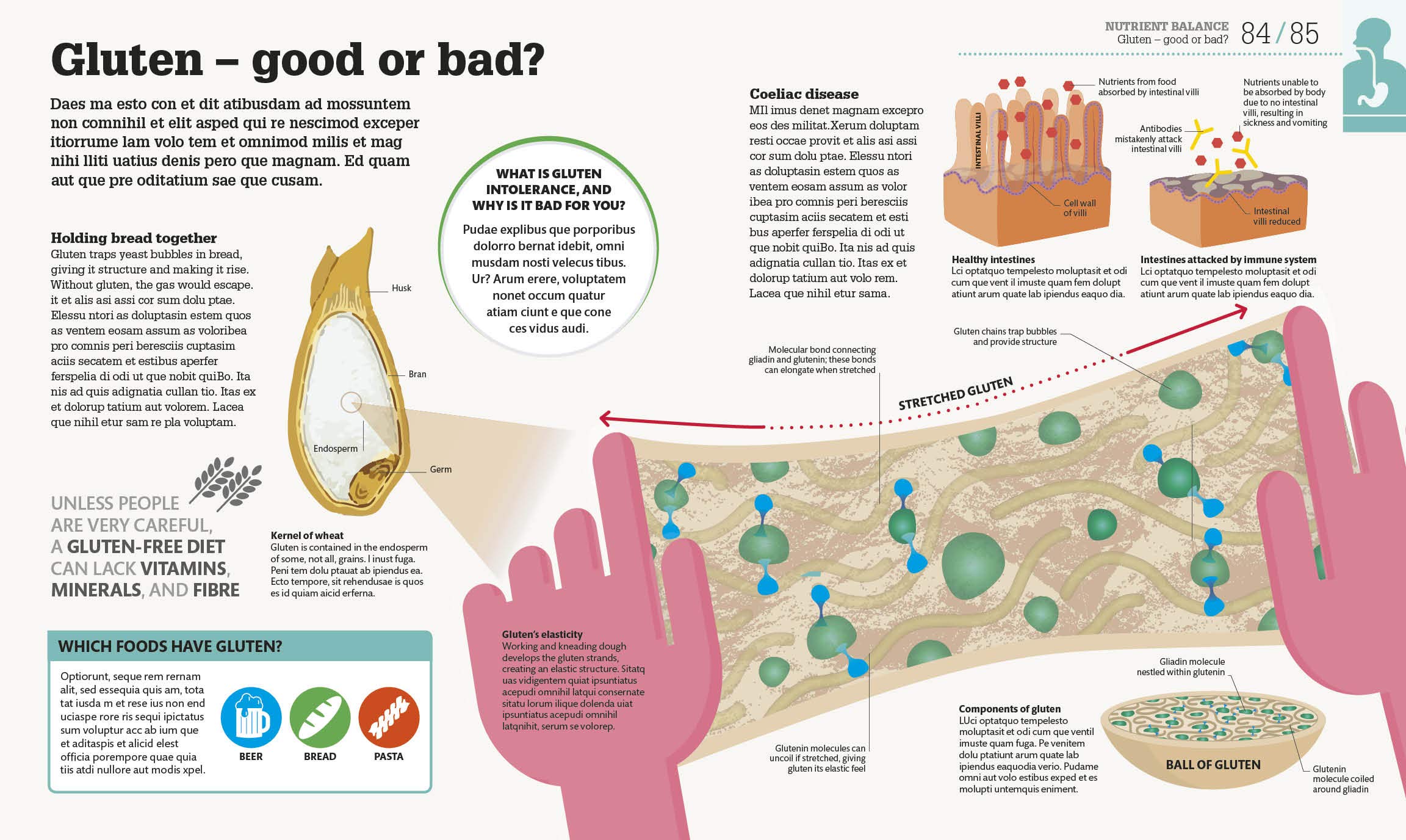 How Food Works - FAHASA.COM