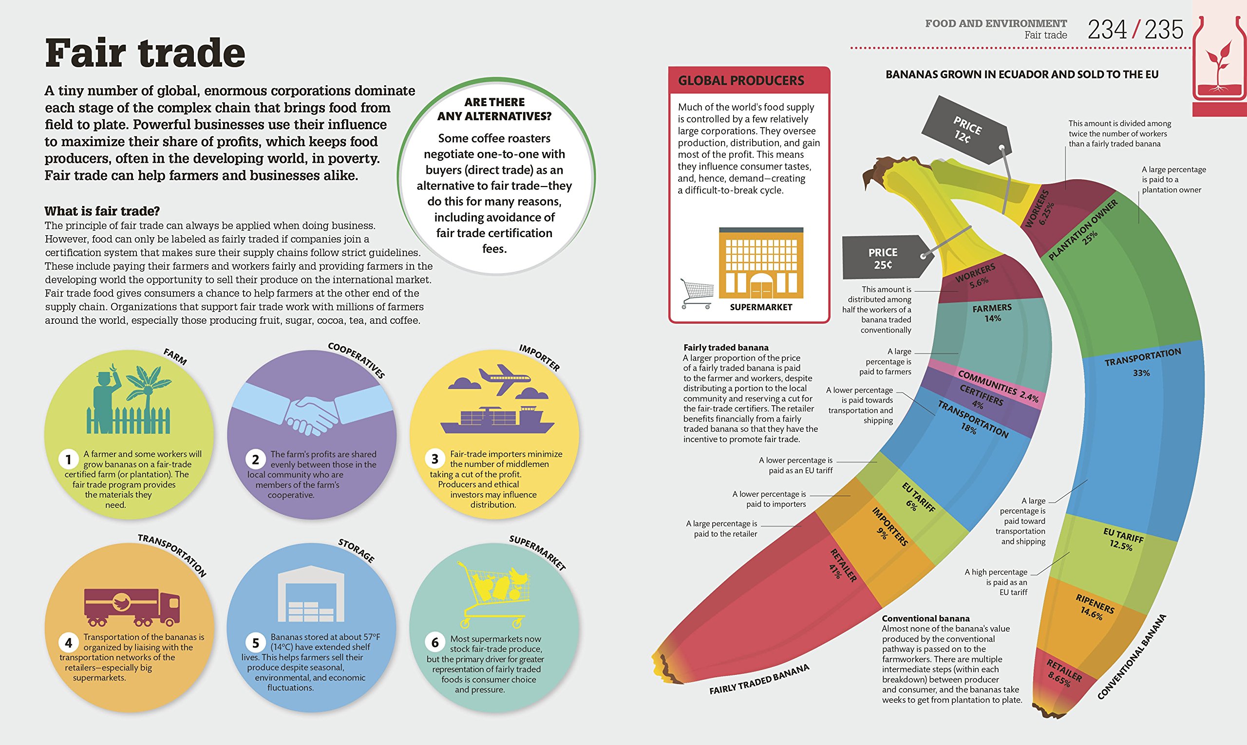 How Food Works: The Facts Visually Explained (How Things Work) PDF - Reds