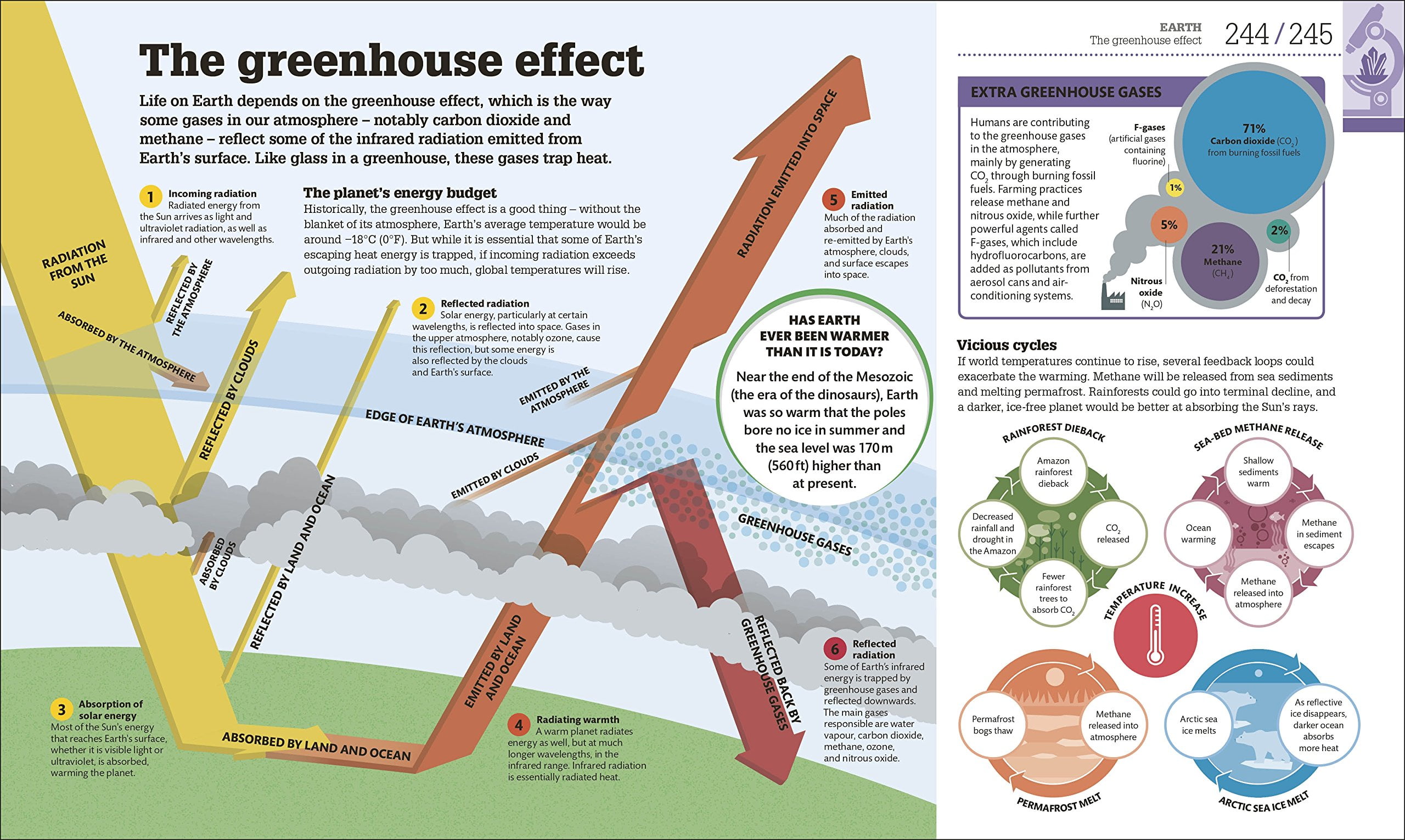 How Science Works - FAHASA.COM