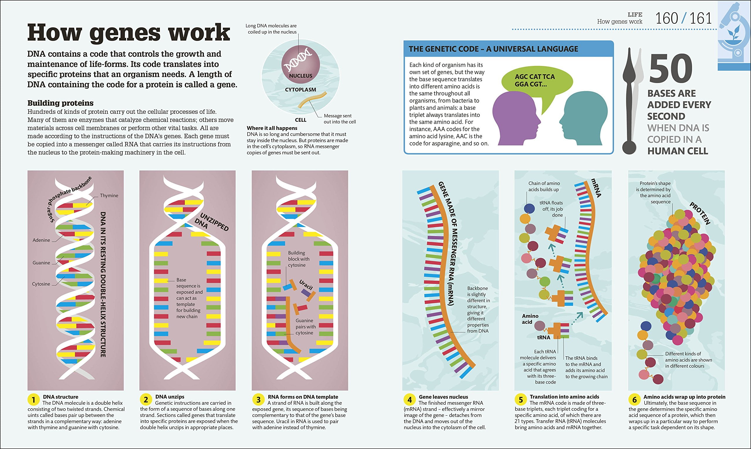 How Science Works - FAHASA.COM