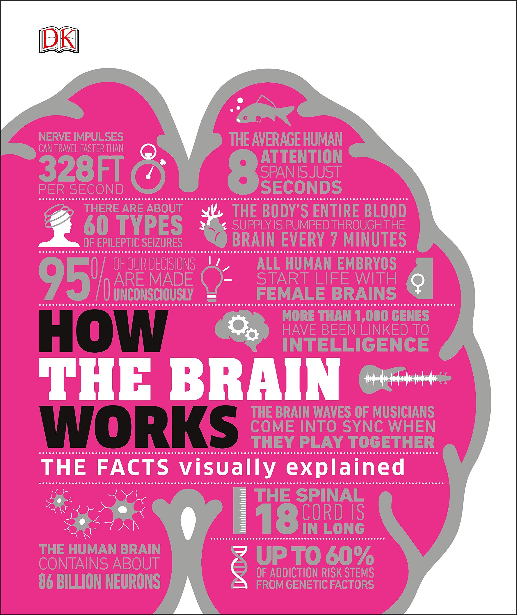 How The Brain Works: The Facts Visually Explained (How Things Work ...