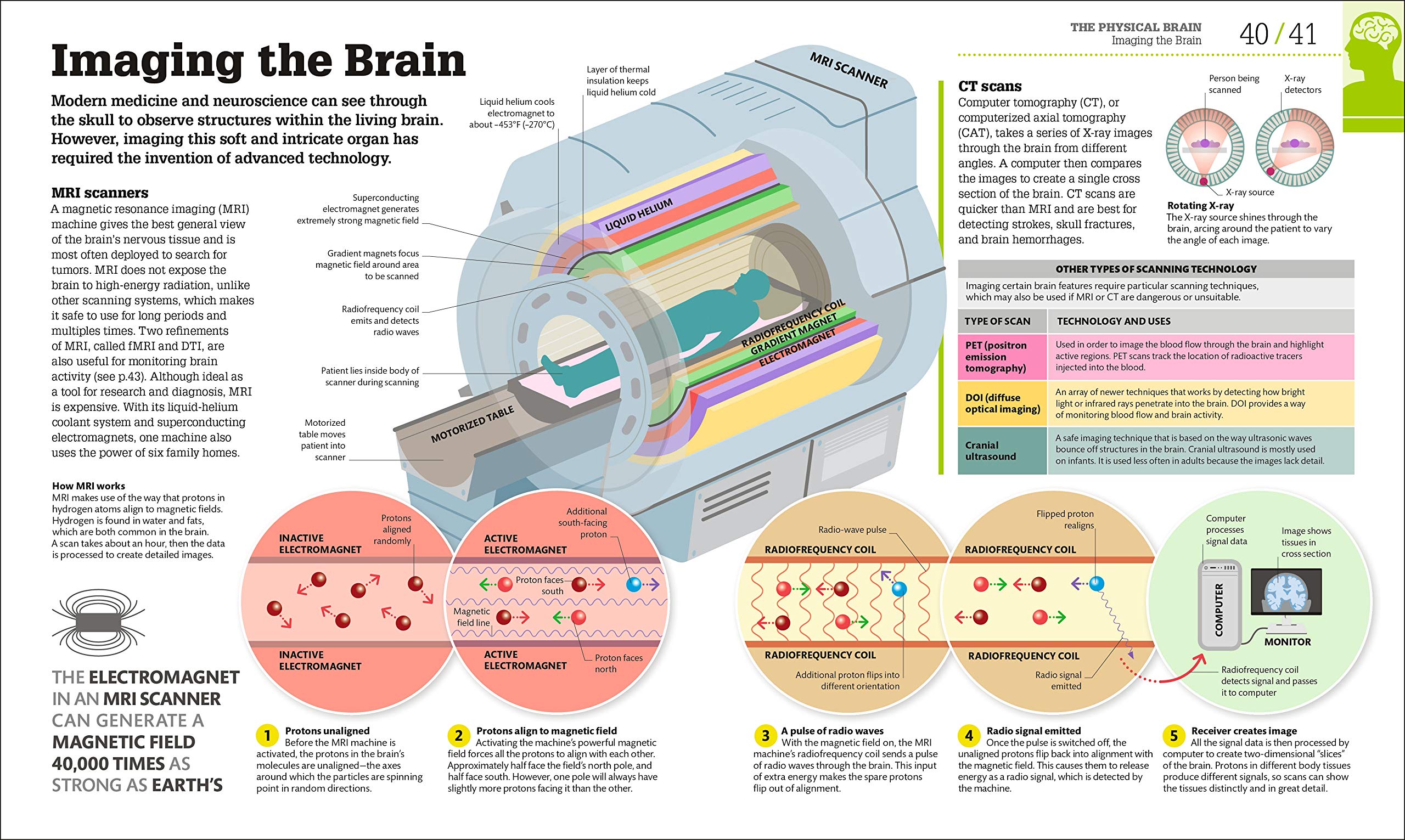 How The Brain Works: The Facts Visually Explained (How Things Work ...