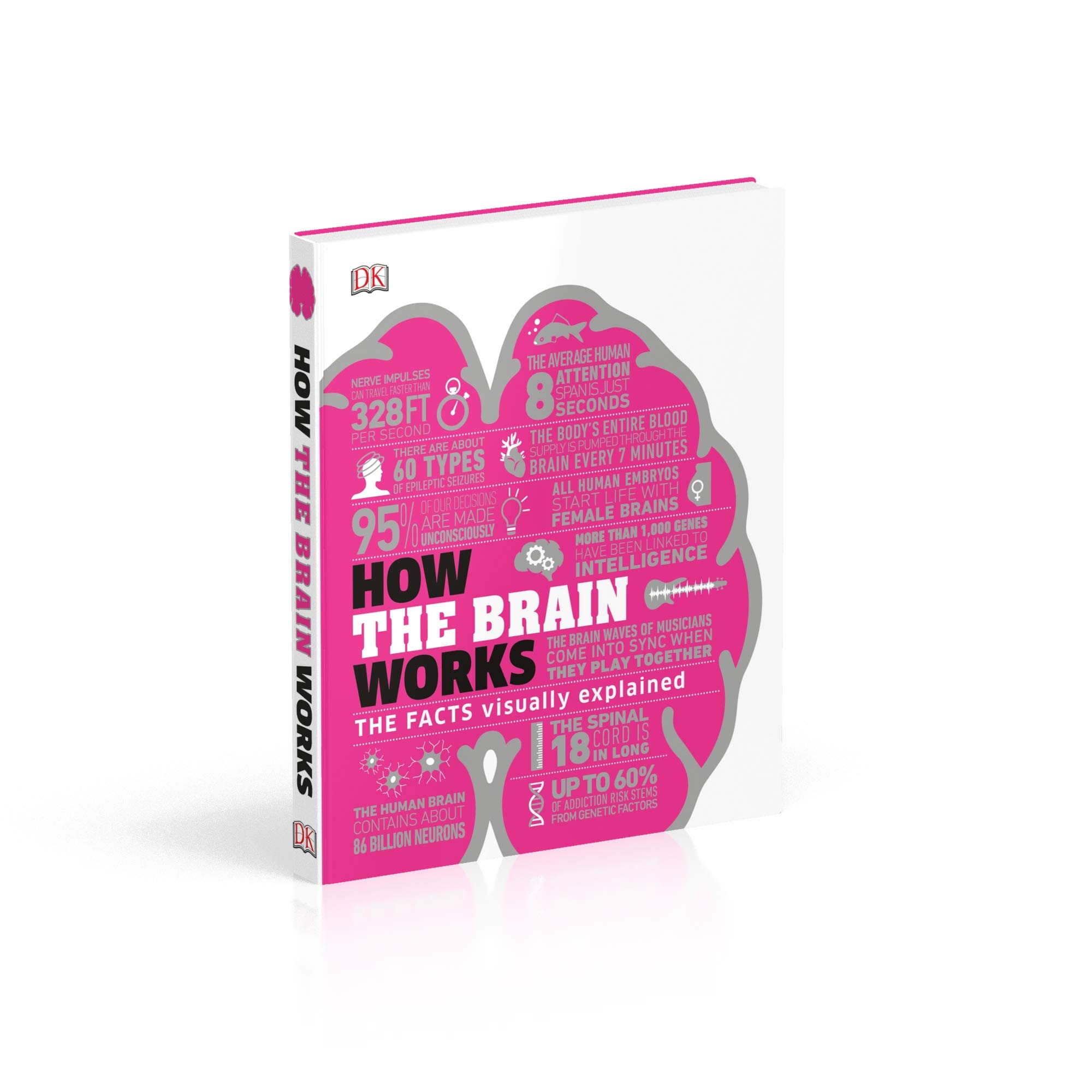 How The Brain Works: The Facts Visually Explained (How Things Work) PDF ...