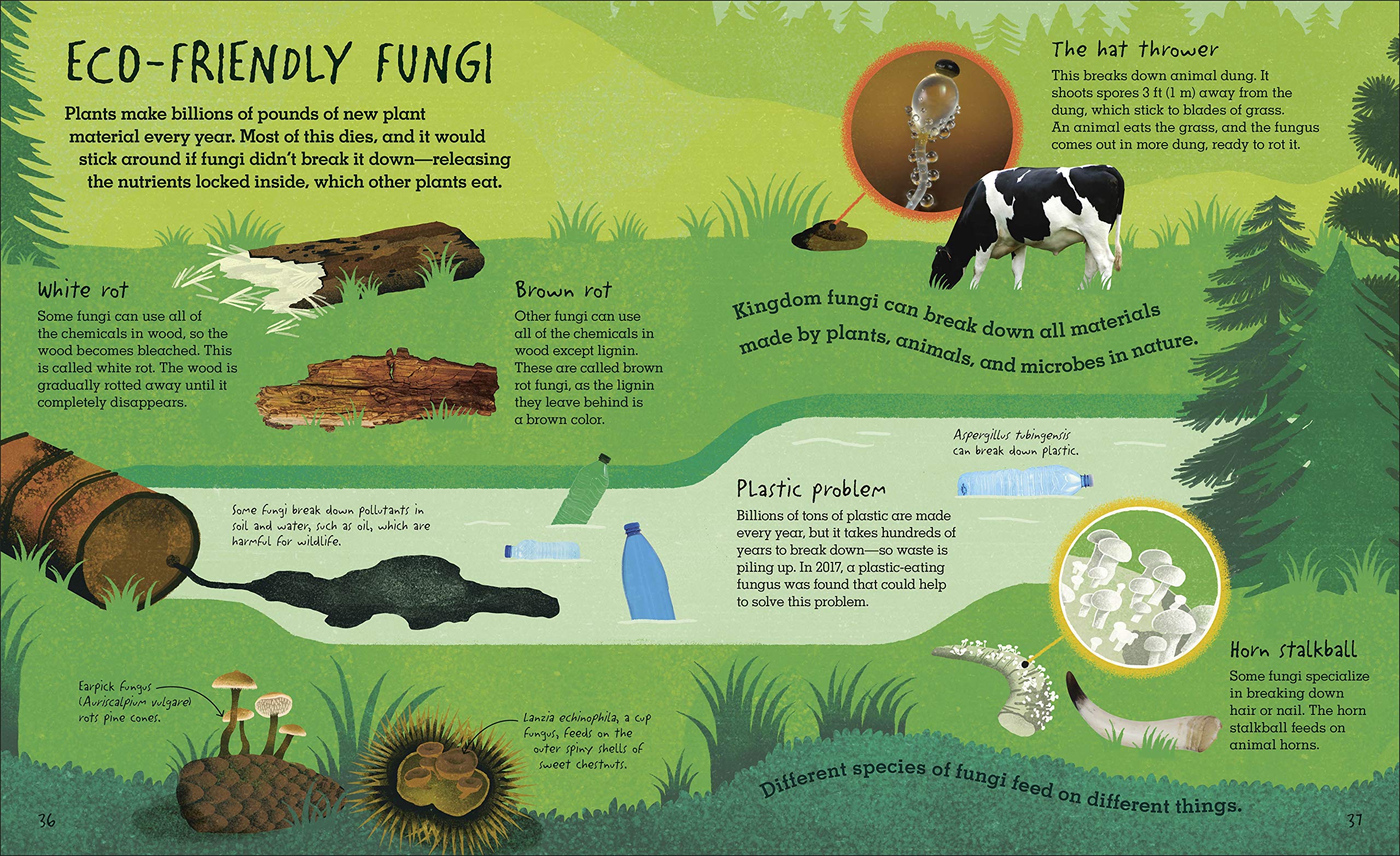 Humongous Fungus