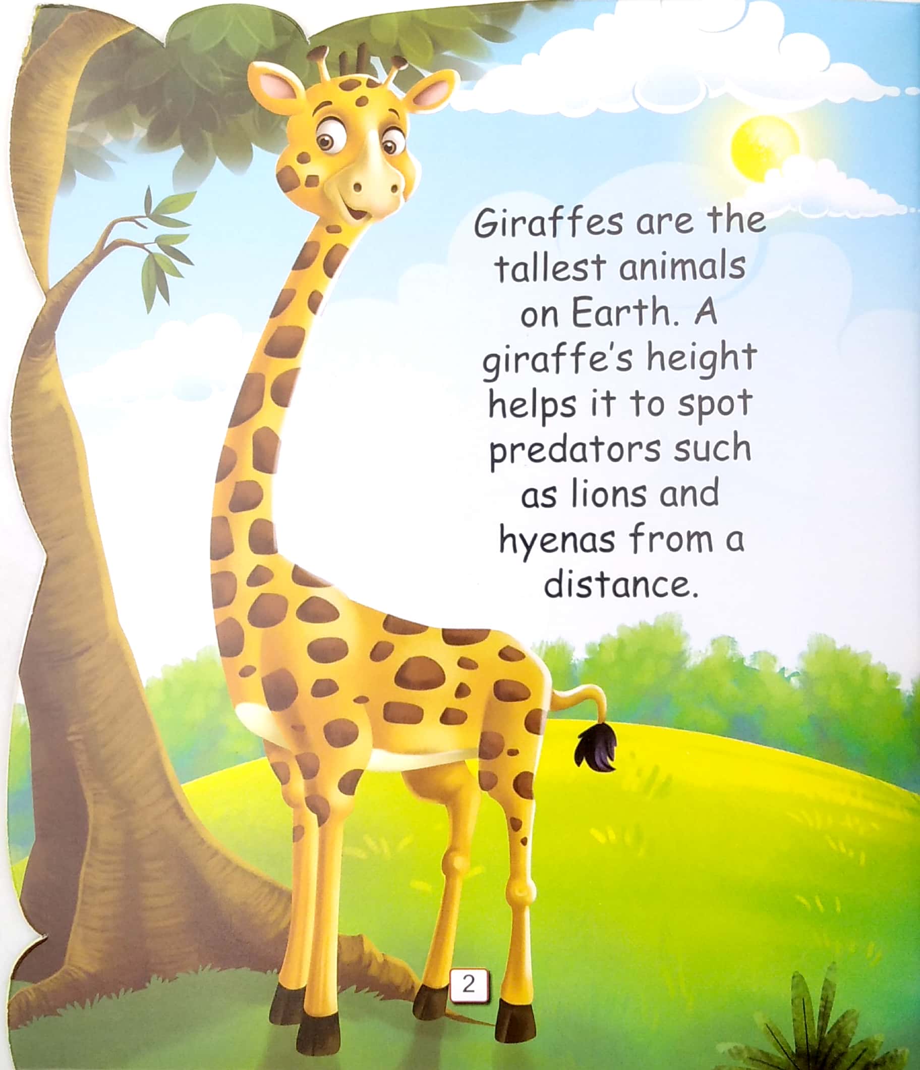 I Am A Giraffe…. The Tallest Animal In The World