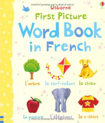 First Picture Word Book in French