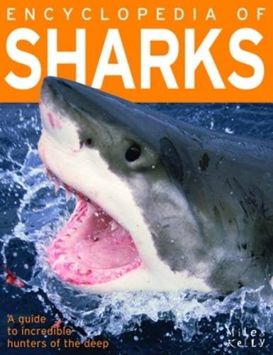 B 512 Encyclopedia Of Sharks
