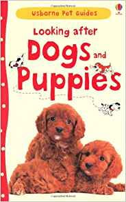Looking after Dogs and Puppies