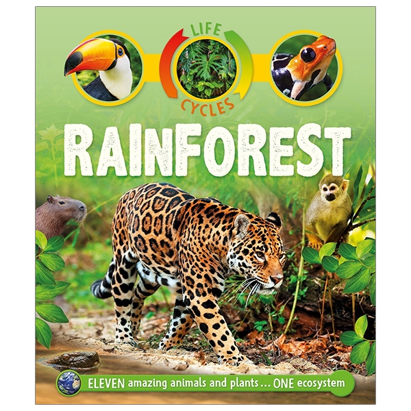 Life Cycles: Rainforest