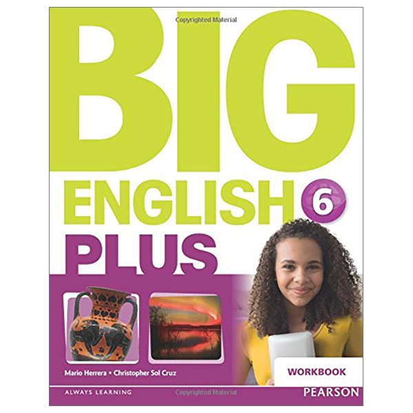Big English 6 Plus Workbook