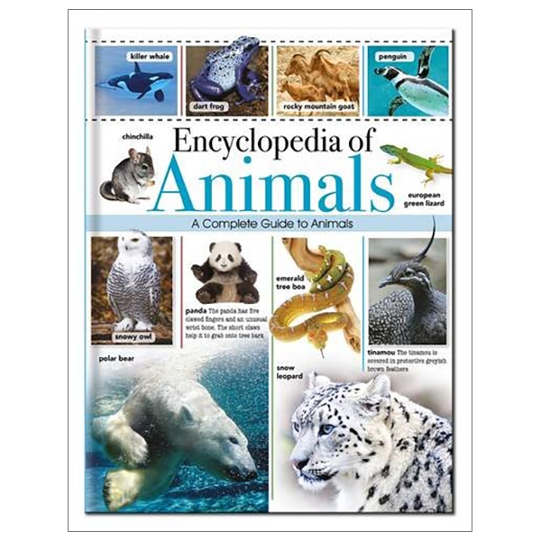 [Phiên chợ sách cũ] Encyclopedia of Animals
