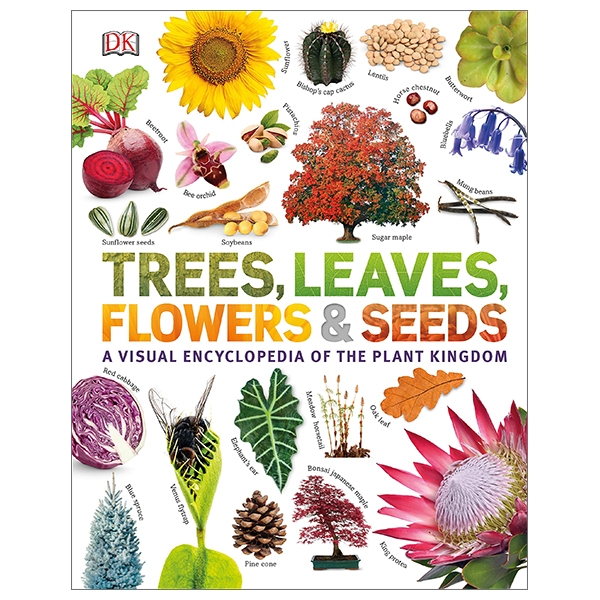 Trees, Leaves, Flowers & Seeds: A Visual Encyclopedia Of The Plant Kingdom