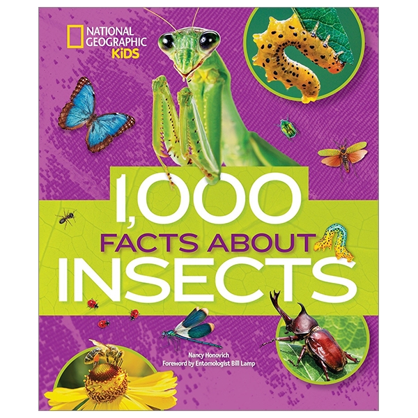 1000 Facts About Insects (100 Facts About…) - FAHASA.COM