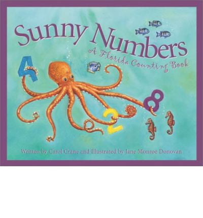 Sunny Numbers: A Florida Count